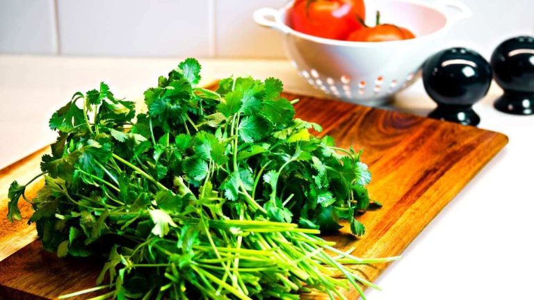 Spices Good For Dogs: 11 Best Seasonings And Herbs