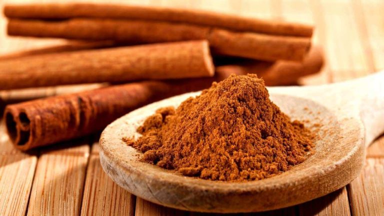 Spices Good For Dogs: 11 Best Seasonings And Herbs