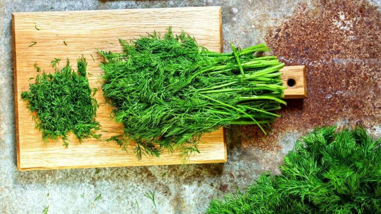 Spices Good For Dogs: 11 Best Seasonings And Herbs