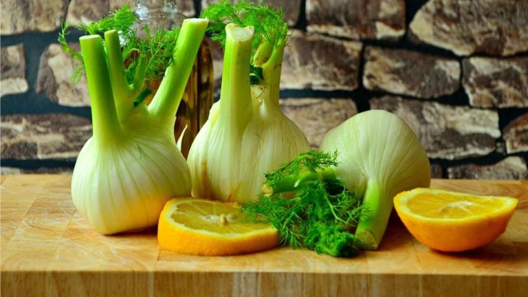 Spices Good For Dogs: 11 Best Seasonings And Herbs