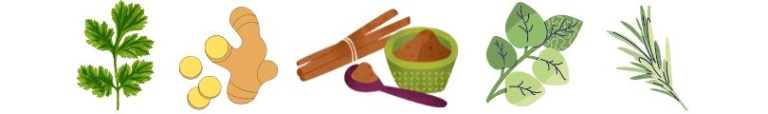 What Can Dogs Eat: 40 Foods Safe For Your Pet