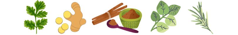 What Can Dogs Eat: 40 Foods Safe For Your Pet