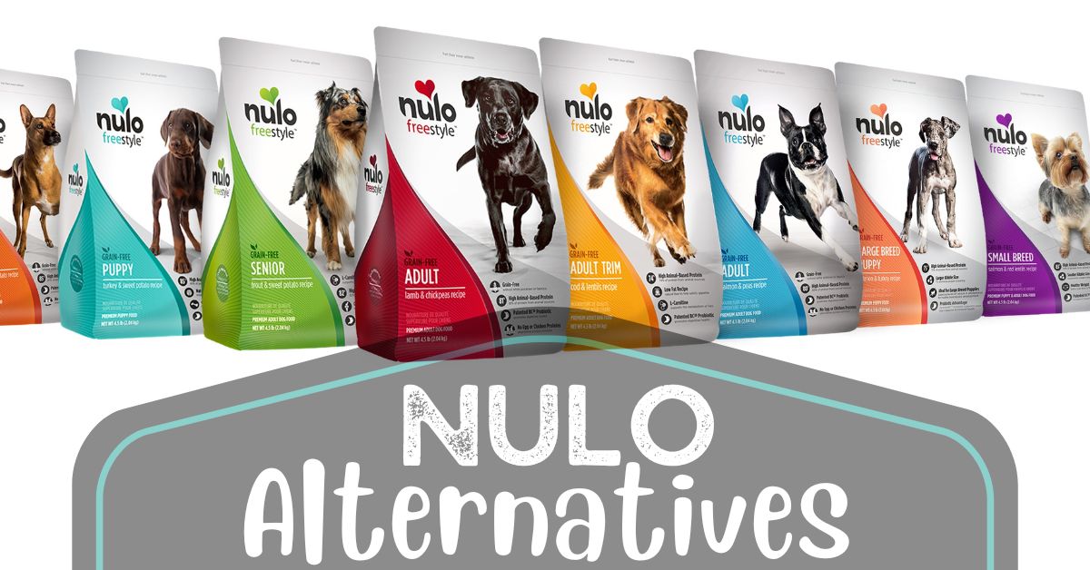 Best Dog Food Similar To Nulo (6 Alternatives For 2026)