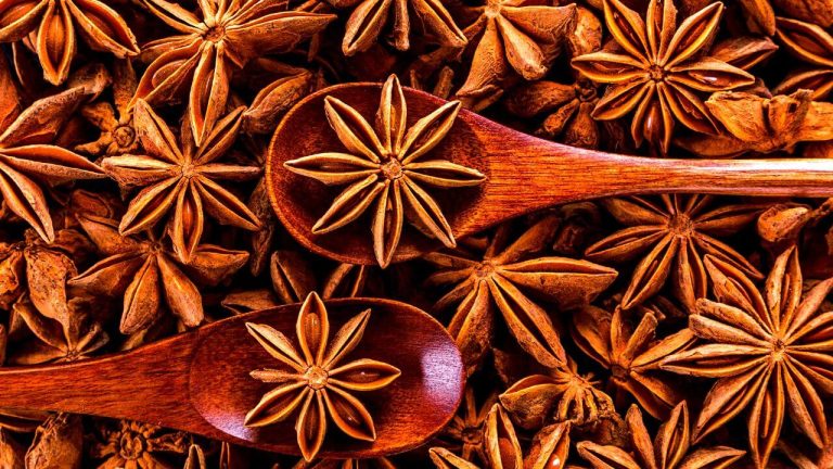 Spices Good For Dogs: 11 Best Seasonings And Herbs