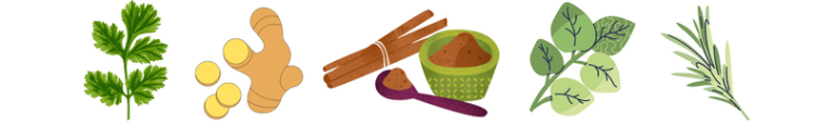 What Can Dogs Eat: 40 Foods Safe For Your Pet