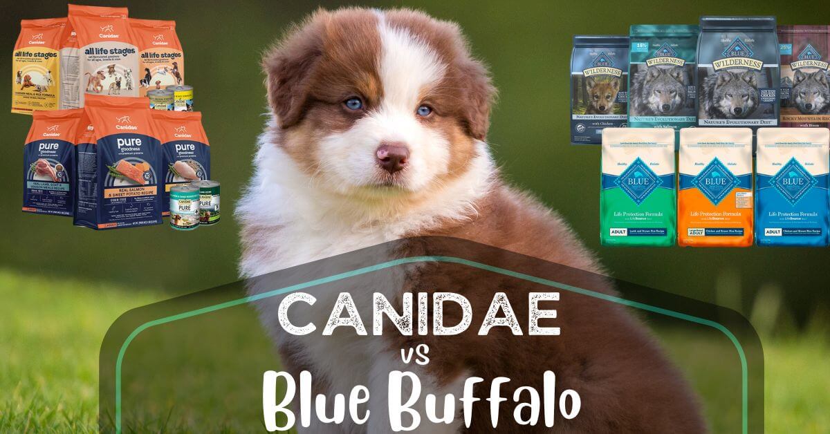 Canidae Vs Blue Buffalo Dog Food (2025 Comparison)